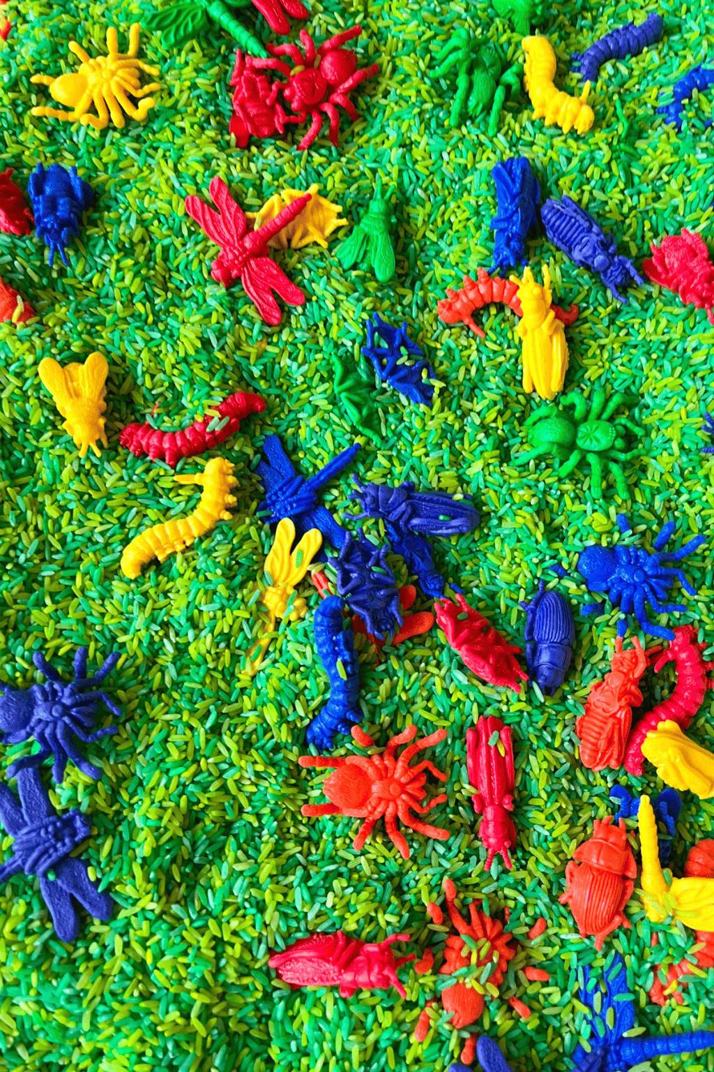 Bug Sensory Bin - Friends Art Lab