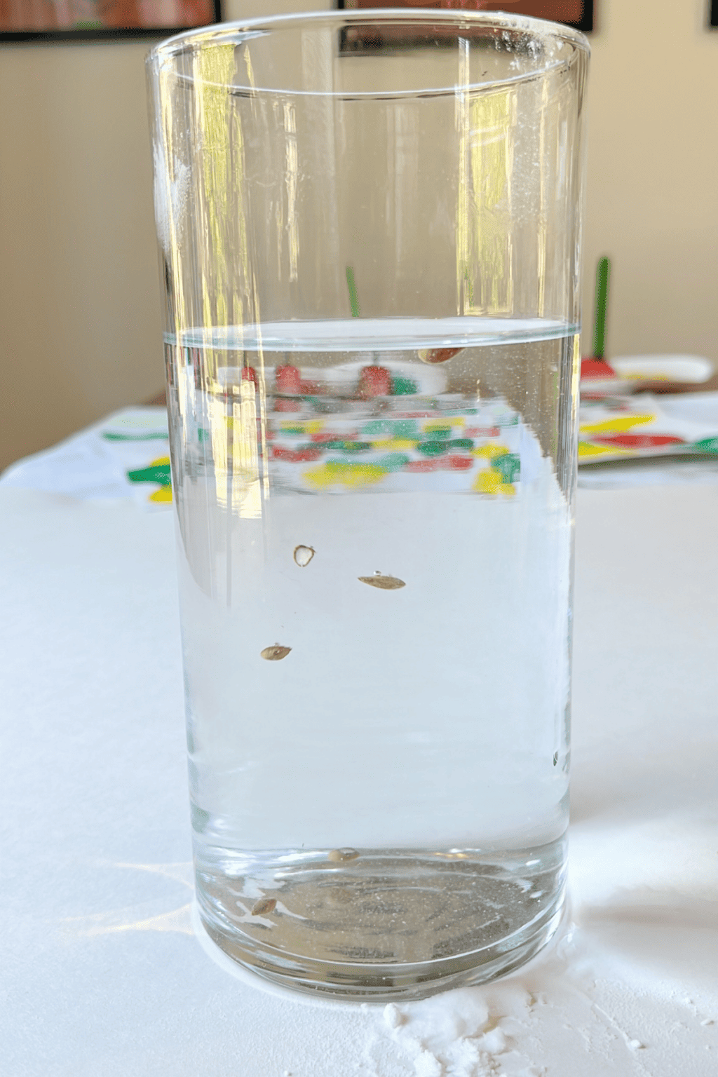 Dancing Apple Seeds Preschool Science - Friends Art Lab