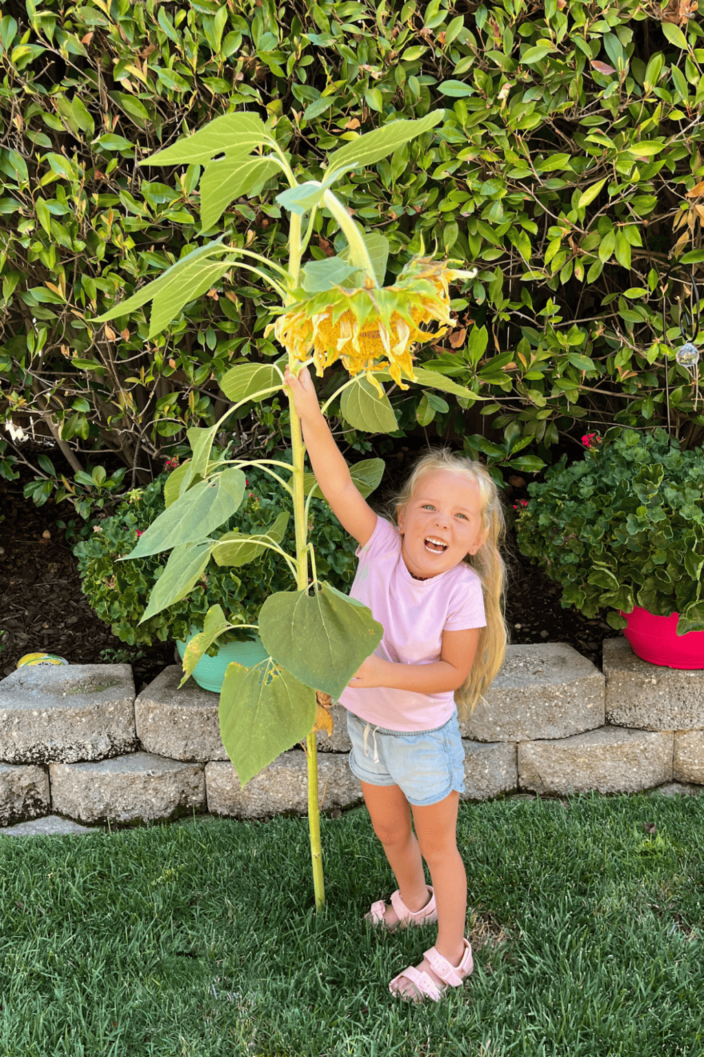 Sunflower Fine Motor Activity - Friends Art Lab
