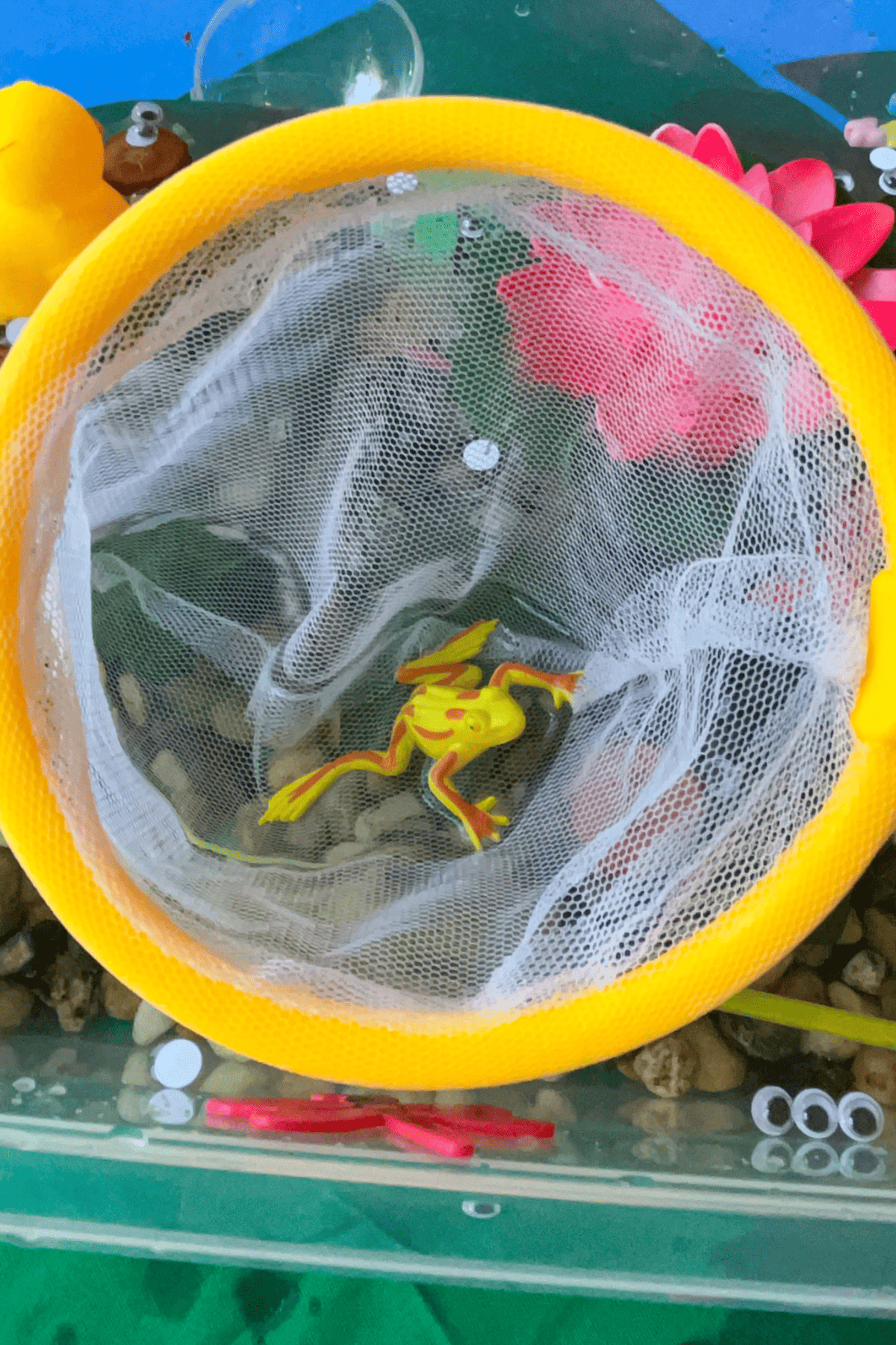 Pond Sensory Bin – Ready-to-Go Sensory Play - Friends Art Lab