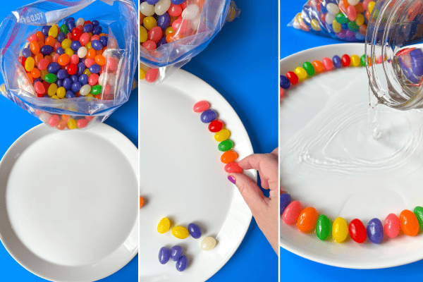 Dissolving Jelly Bean Science Experiment - Friends Art Lab