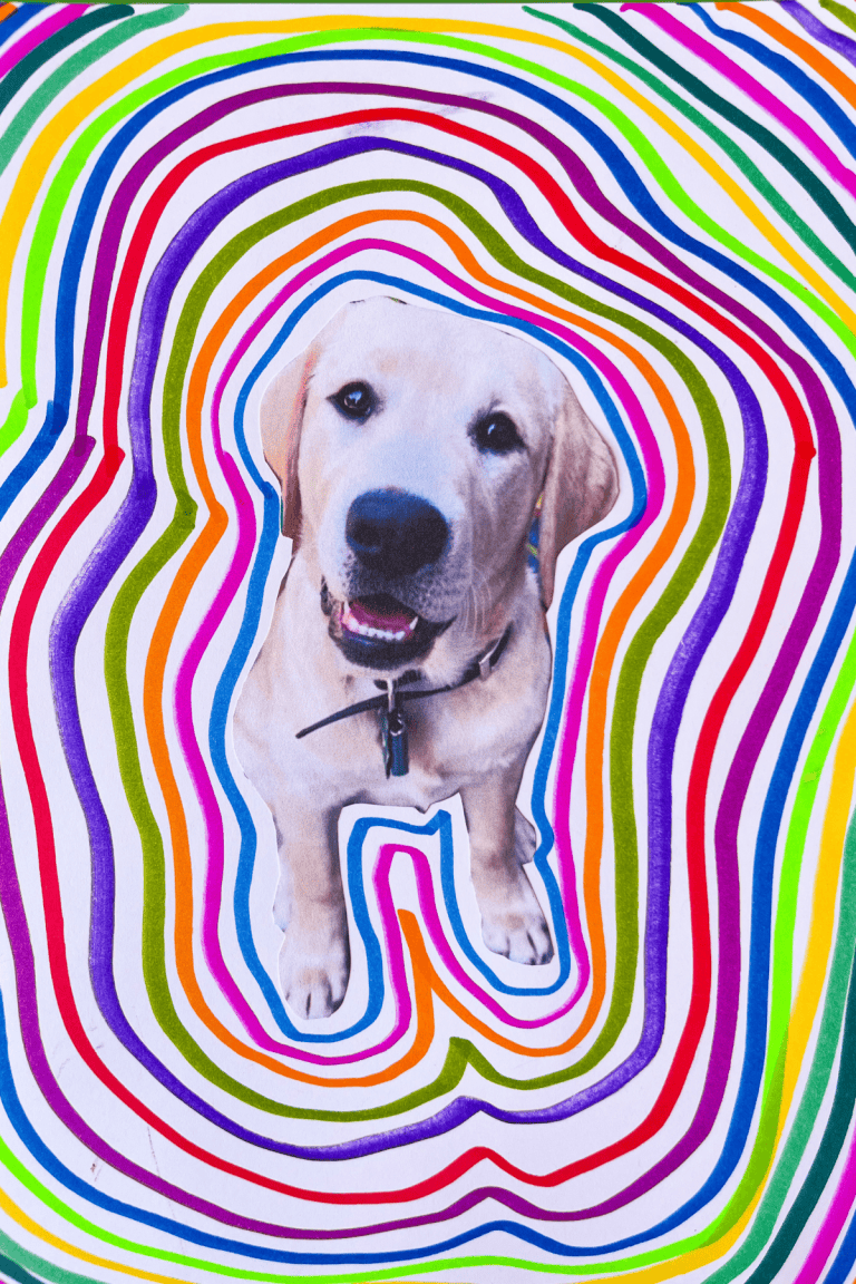 Easy Pet Portraits for Kids - Friends Art Lab