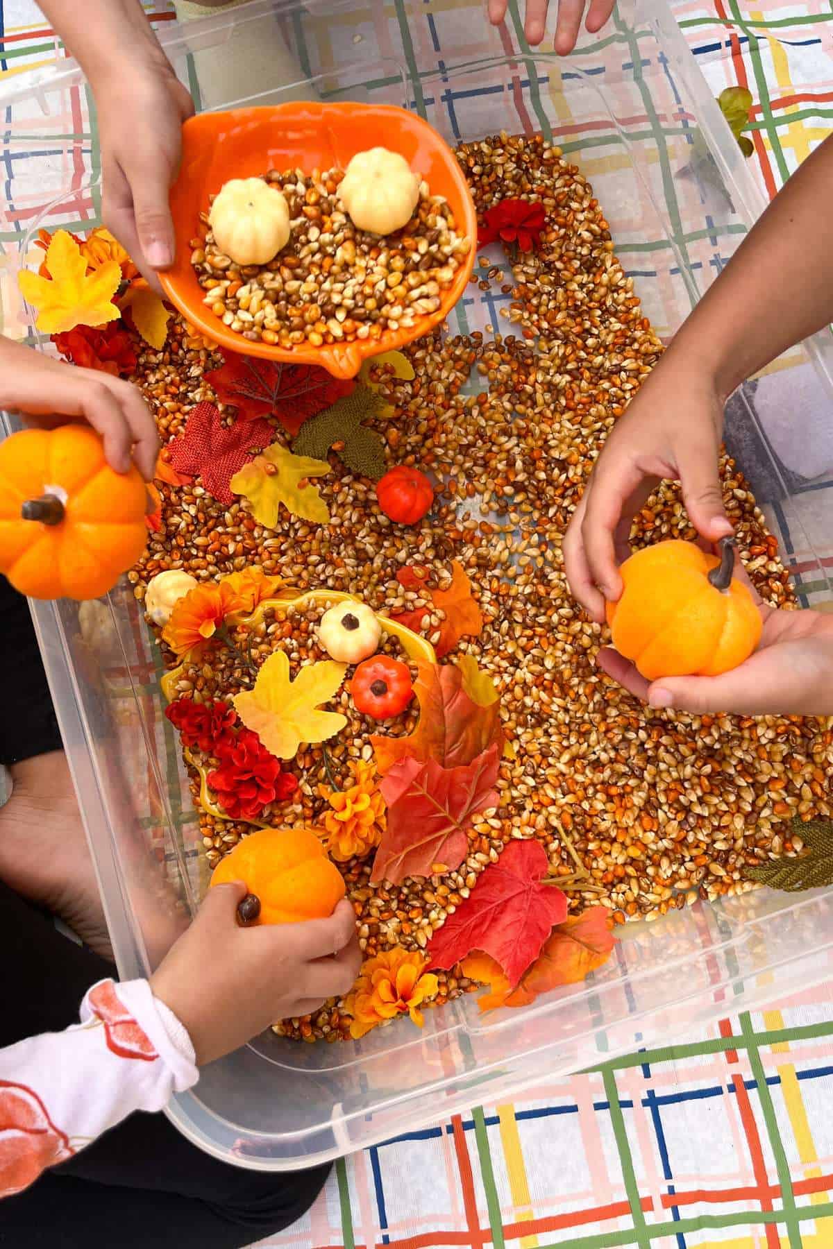 Corn Sensory Bin – Preschool Fall Activity - Friends Art Lab
