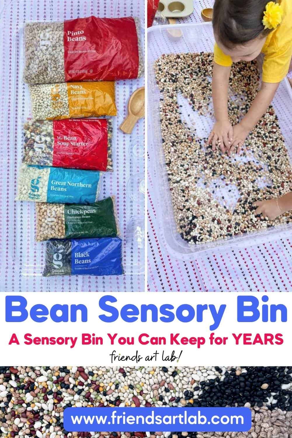 Bean Sensory Bin Preschool Activity - Friends Art Lab
