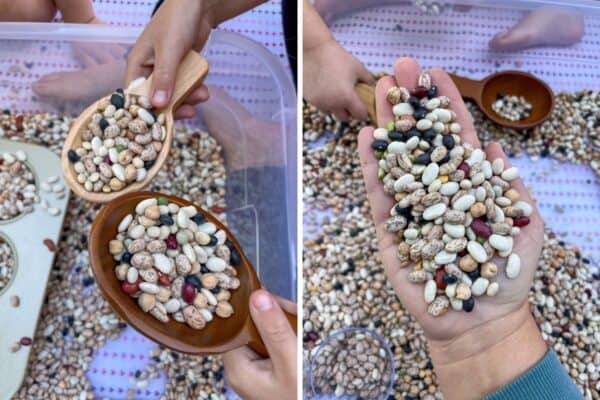 Bean Sensory Bin Preschool Activity - Friends Art Lab
