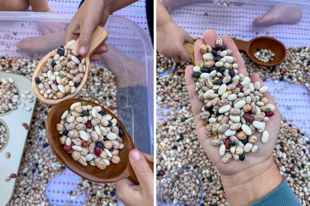 Bean Sensory Bin Preschool Activity - Friends Art Lab