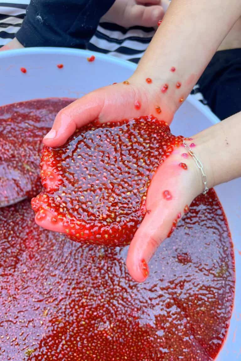 Chia Pudding Sensory Bin: Taste-Safe Sensory Play - Friends Art Lab