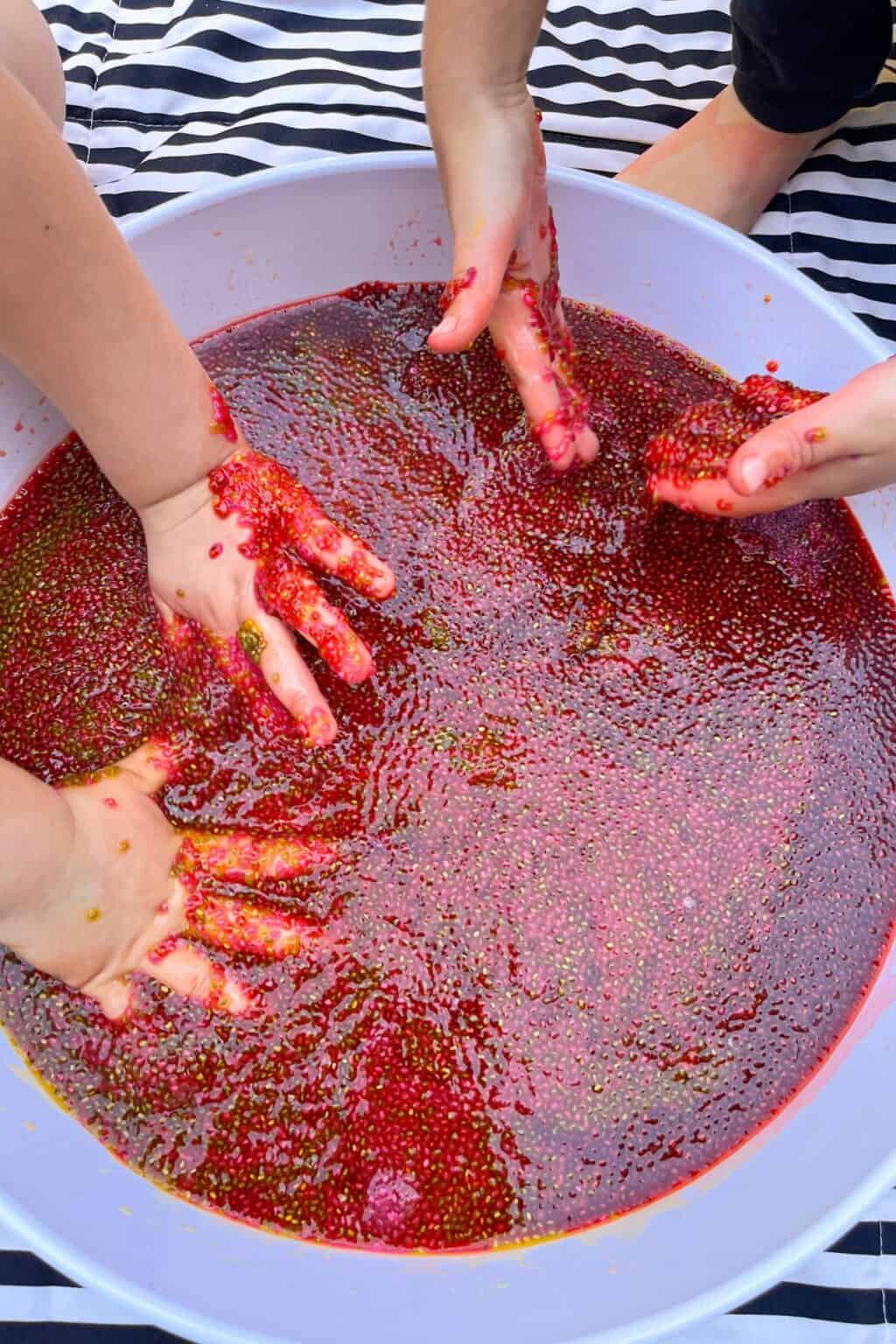 Chia Pudding Sensory Bin: Taste-Safe Sensory Play - Friends Art Lab
