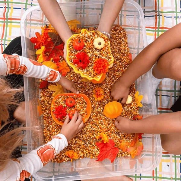 20 Fall Sensory Bins for Preschoolers - Friends Art Lab