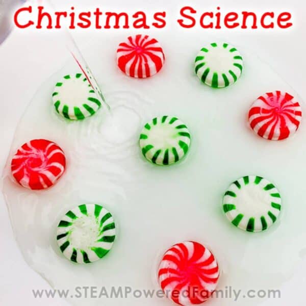25+ Christmas Sensory Activities for Preschoolers - Friends Art Lab