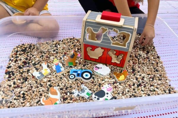 Farm Sensory Bin - Preschool Farm Activity - Friends Art Lab