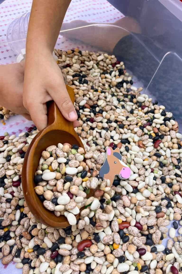 Farm Sensory Bin - Preschool Farm Activity - Friends Art Lab