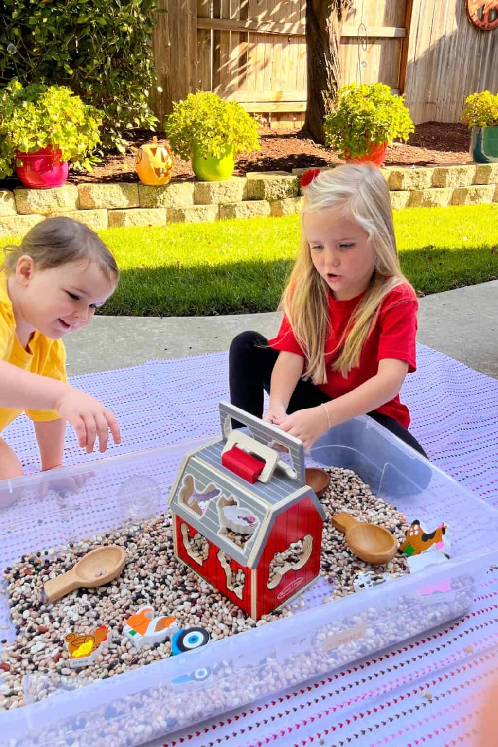 Farm Sensory Bin - Preschool Farm Activity - Friends Art Lab