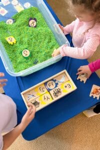 Puzzle Match Sensory Bin - A Preschool Math & Literacy Game - Friends ...