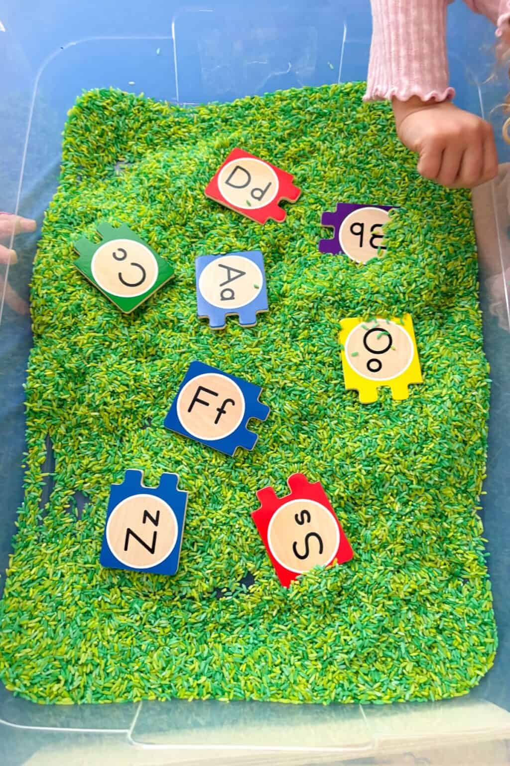 Puzzle Match Sensory Bin - A Preschool Math & Literacy Game - Friends ...