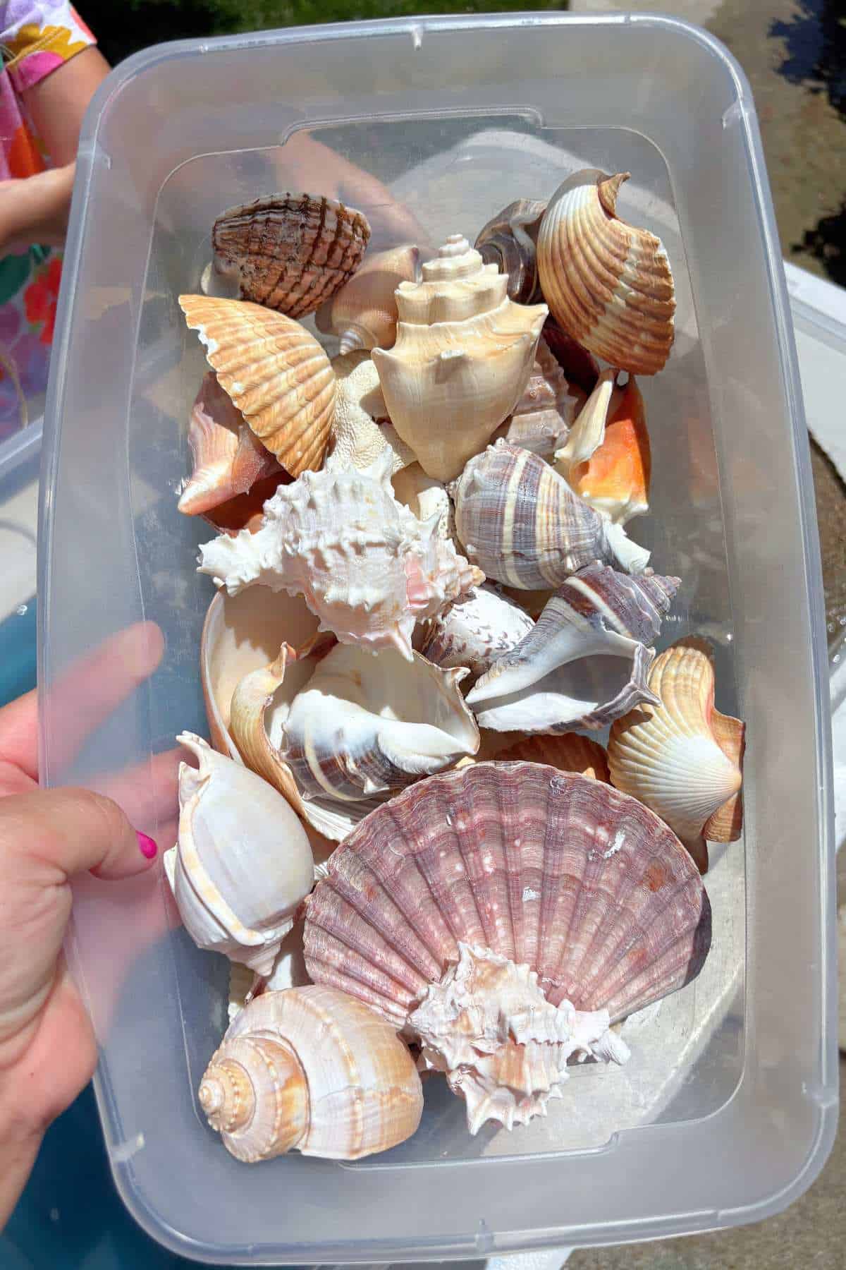 How to Make a Beach Sensory Bin for Preschoolers - Friends Art Lab